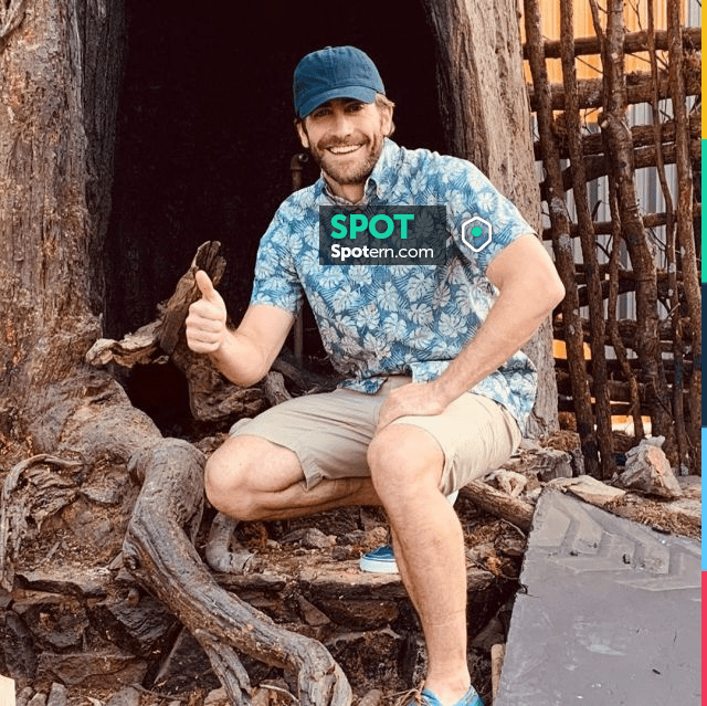 Palmier Hawaïen Bouton de Chemise en bleu porté par Jake Gyllenhaal sur ...