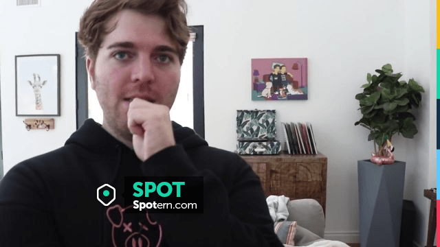 Pig Logo Merch Hoodie Pink worn by Shane Dawson in The Beautiful World ...