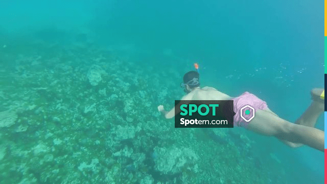 Red Striped Swim Trunks worn by Bobby Briskey in the YouTube video ...