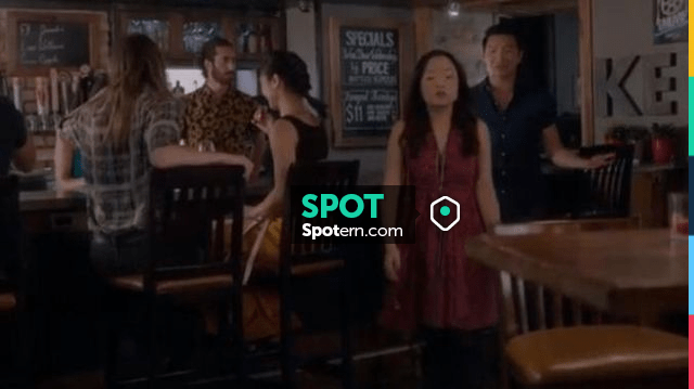 Pink Leopard Dress worn by Janet (Andrea Bang) in Kim's Convenience ...