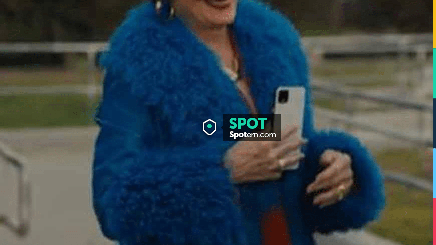 Blue Fur Collar Leather Trench Coat worn by Dee Dee Allen (Meryl Streep ...