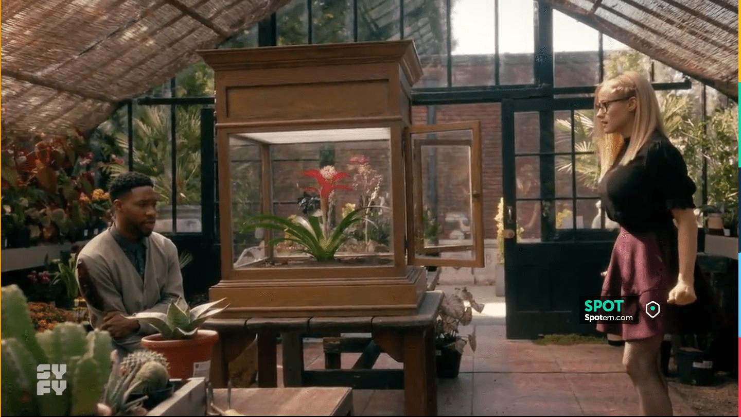 Red skirt worn by Alice Quinn Olivia Dudley in The Magicians | Spotern