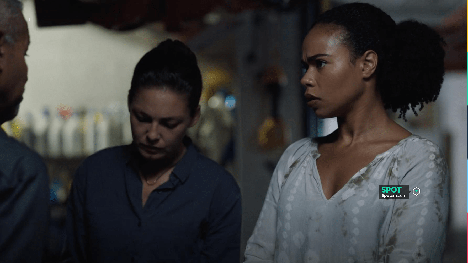 Velvet Sharona Printed Blouse worn by Special Agent Sheryll Barnes ...