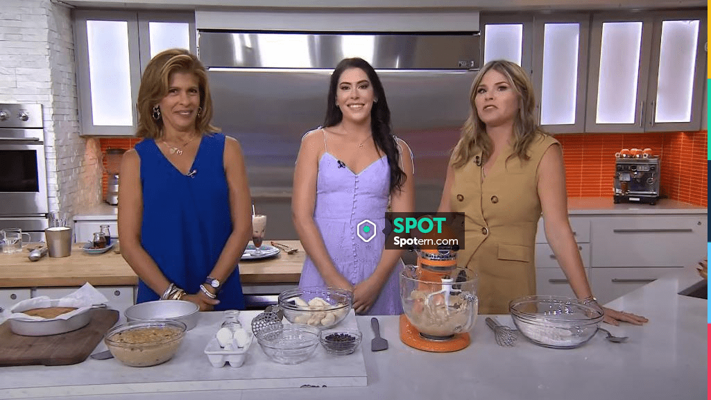 Alice + Olivia Shanti Eyelet Sundress portée par Katie Stilo comme vu dans TODAY avec Hoda ...