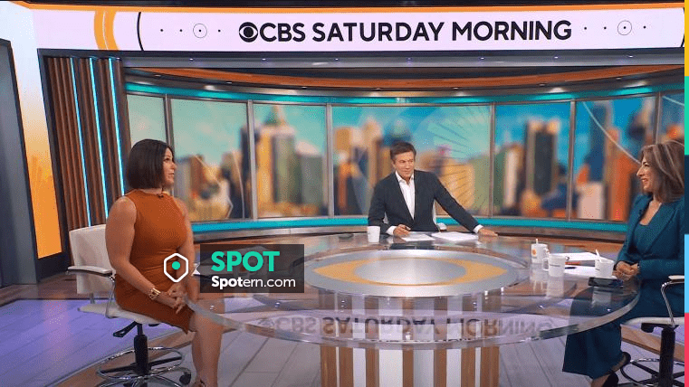 Alexia Admor Nova Dress In Cafe worn by Dana Jacobson as seen in CBS ...