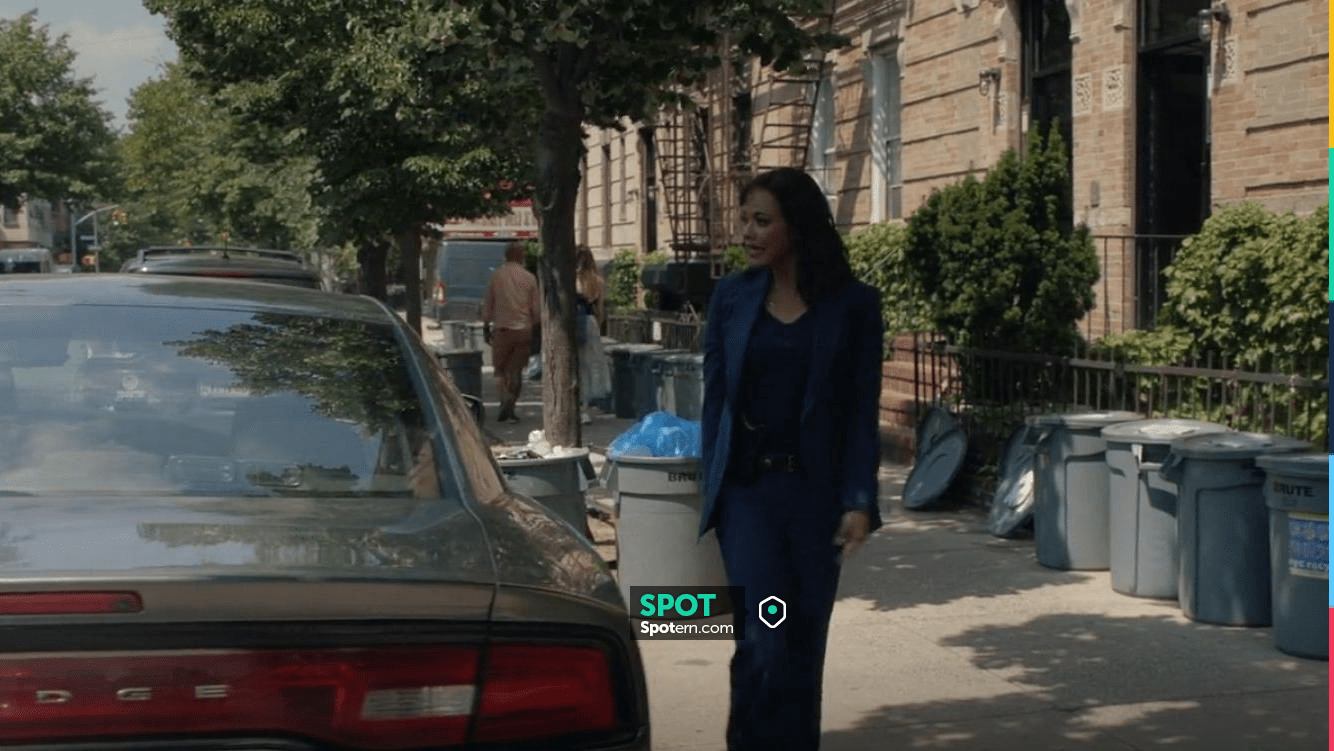 Theory Demitria Pant worn by Maria Baez (Marisa Ramirez) as seen in ...