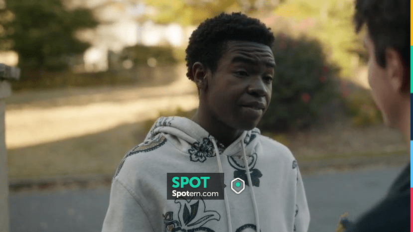 Urban Outfitters Pais­ley Hood­ie worn by Jakeem Williams (Alkoya ...