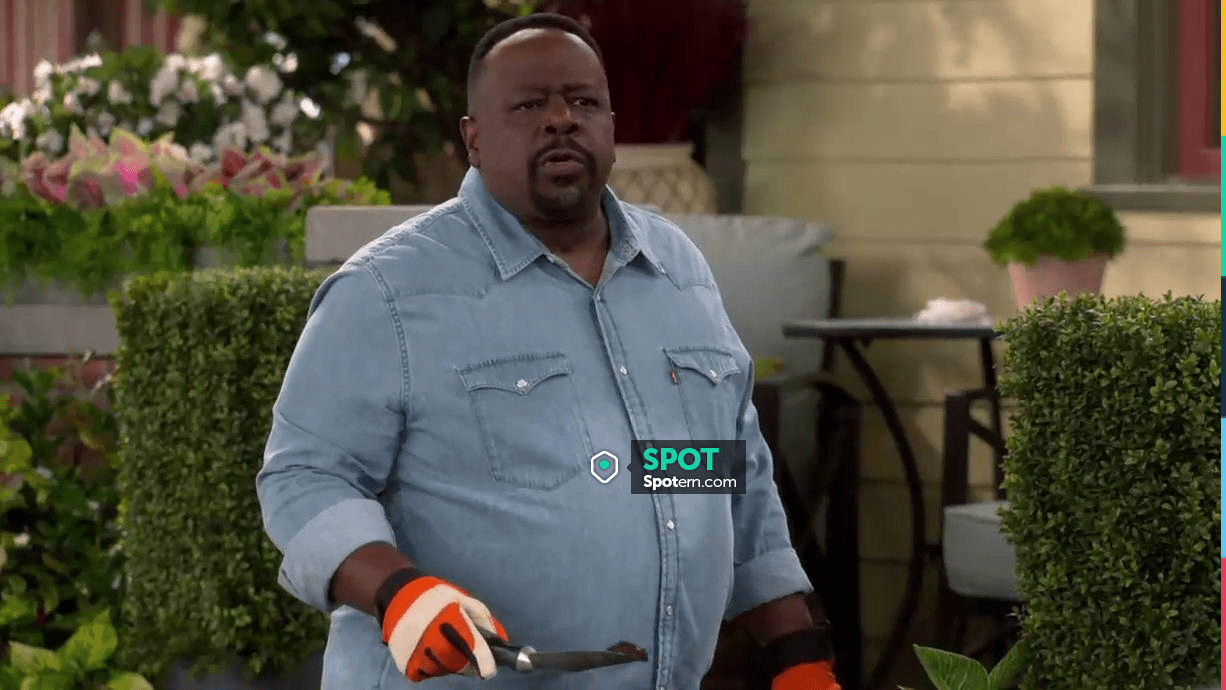 Levi's Clas­sic West­ern Shirt worn by Calvin Butler (Cedric the ...