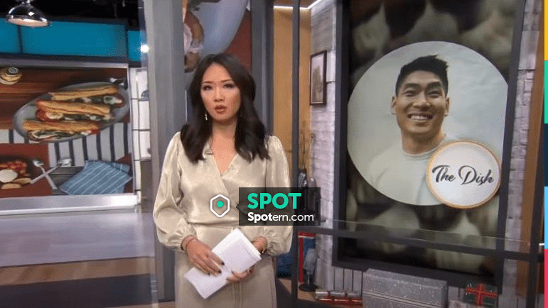 Ann Taylor Shimmer Pleated Wrap Dress worn by Nancy Chen as seen in CBS ...