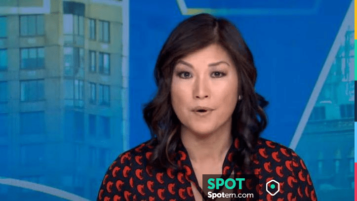 Diane von Furstenberg Esperanza Blouse worn by Juju Chang as seen in ...
