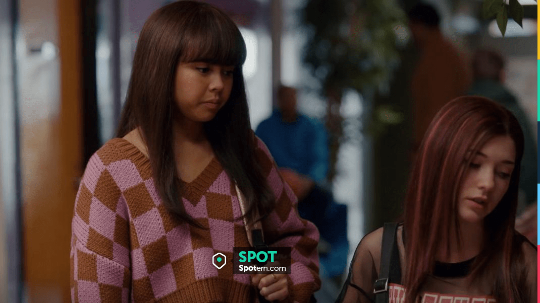 American Threads Miranda Checkered Knit Sweater In Pink worn by Norah ...