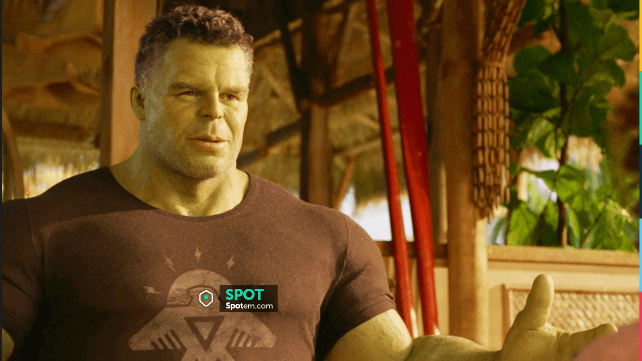 Shield Bird Logo T-Shirt worn by Bruce Banner (Mark Ruffalo) in She ...