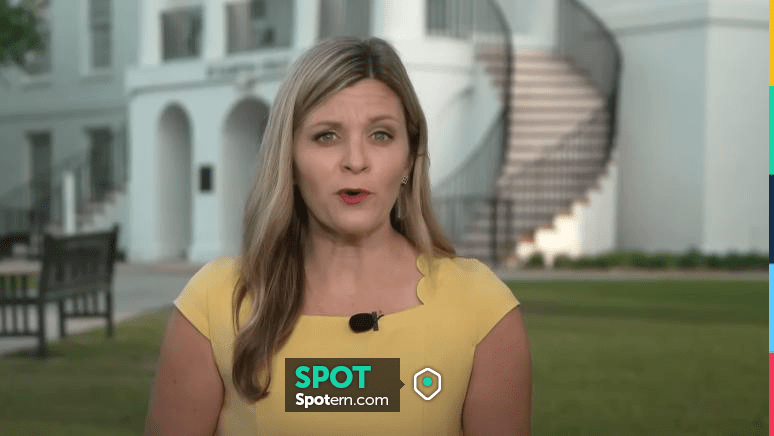 Ann Taylor Cap Sleeve Sheath Dress worn by Catie Beck as seen in Today ...