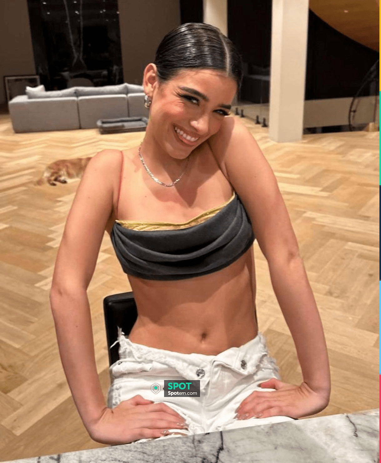 Ser.O.Ya Ollie Wide Leg Jeans worn by Dixie D'Amelio on David Dobrik’s Snapchat on July 29, 2023 ...