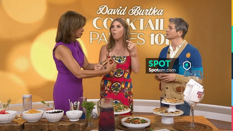Rockaway-Cardigan worn by David Burtka as seen in Today with Hoda ...