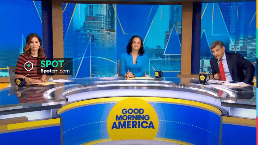 Trina Turk Shadows Stripe Sweater porté par Rebecca Jarvis vu dans Good ...