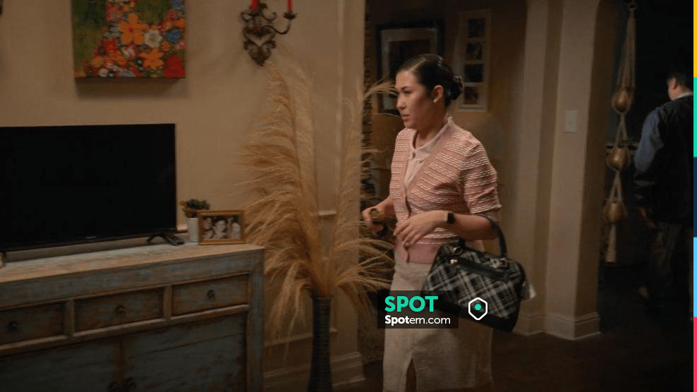 Giani bernini Plaid Dome Satchel usado por Sherri Kansky (Ruthie Ann ...