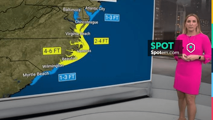 Cece Tie Cuff 3/4-Sleeve Crew Neck Shift Dress worn by Alexandra Wilson ...