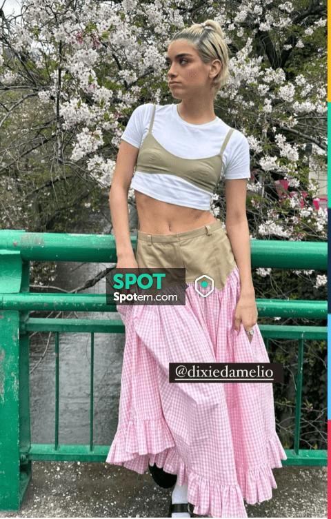 Falda Sandy Liang Petronas usada por Dixie D'Amelio en su historia de ...