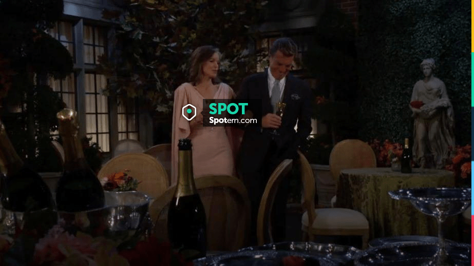 Rhea Costa Cape-design V-neck Gown worn by Diane Jenkins (Susan Walters ...