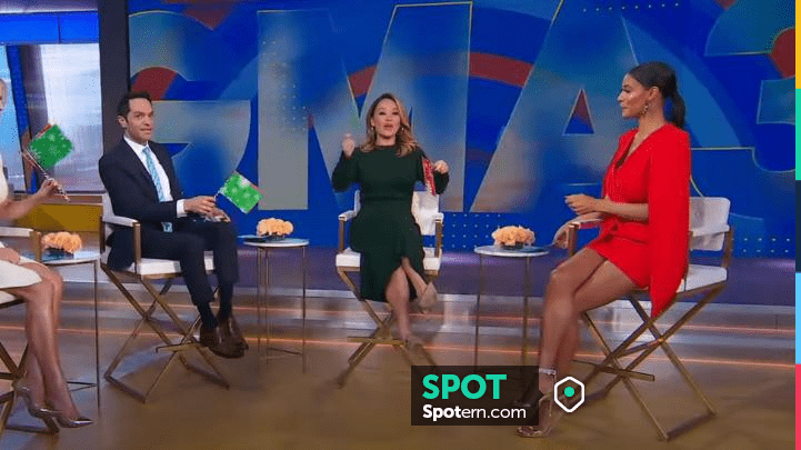 D'Amelio Havri Gold Heel worn by Tamica Lee as seen in Good Morning America on November 14, 2023 ...