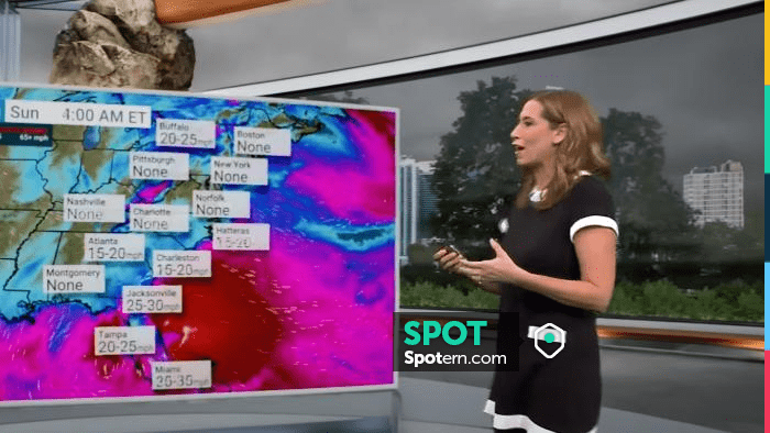 Express Tipped Crew Neck Mini Shift Sweater Dress worn by Stephanie ...