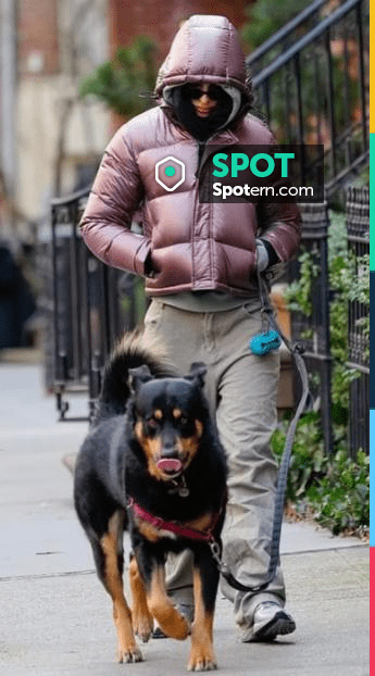 Aritzia Super Puff Shorty Hi-Gloss Puffer Jacket worn by Emily ...