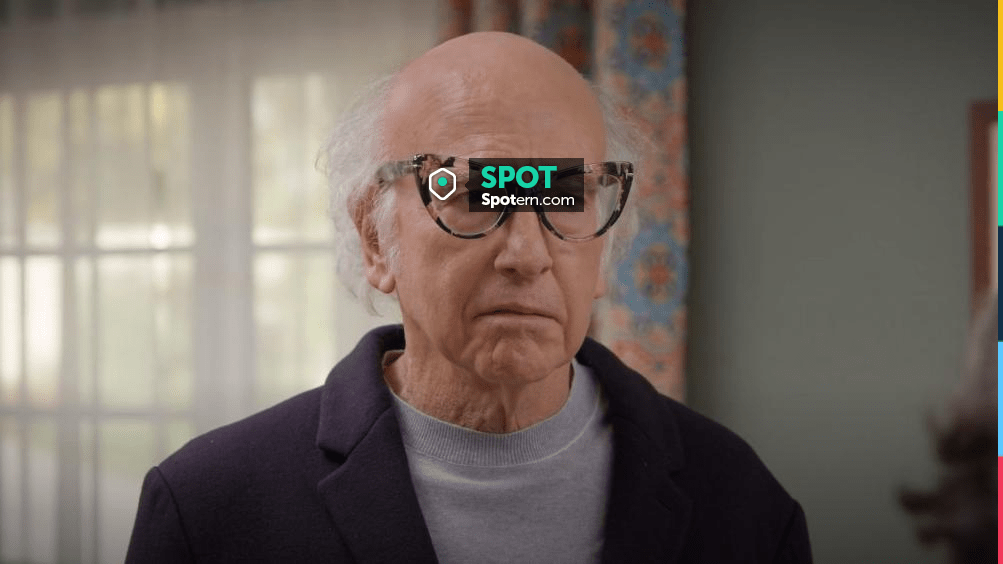 Dbeftli Cat Eye Frame Ladies Computer Reading Glasses worn by Larry ...