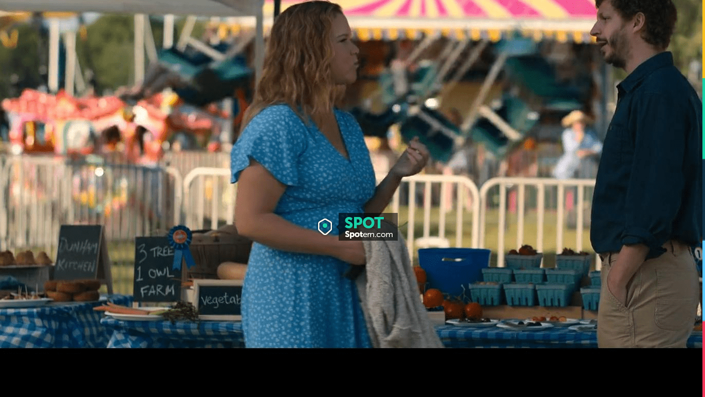 Rollas Wrap Dress worn by Beth (Amy Schumer) as seen in Life & Beth ...