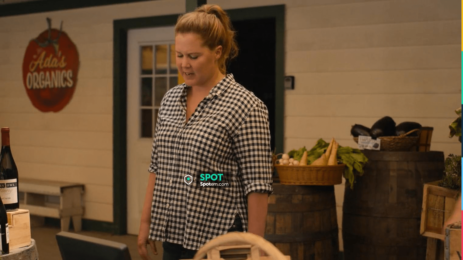 J Crew Clas­sic Fit Shirt worn by Beth (Amy Schumer) as seen in Life ...