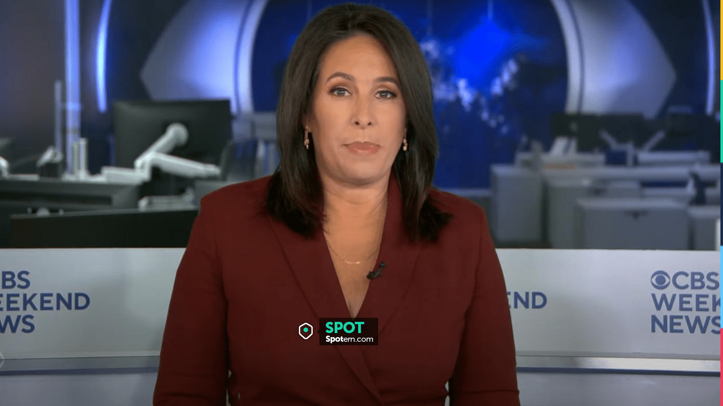 Max Mara Ter­reno Dress worn by Nancy Cordes as seen in CBS Evening ...