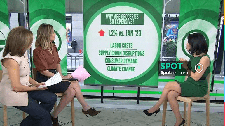 Elie Tahari Sleeveless Fitted Dress worn by Vicky Nguyen as seen in ...