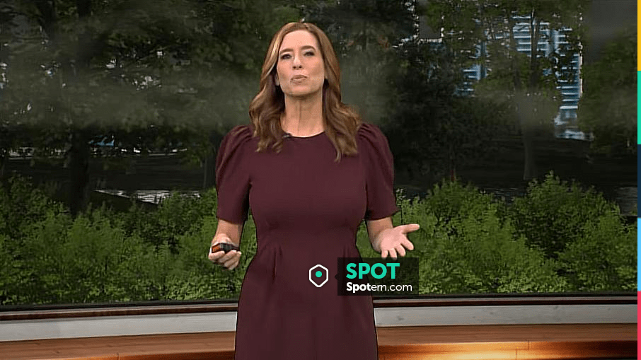 Express Puff Sleeve Dress worn by Stephanie Abrams as seen in CBS ...