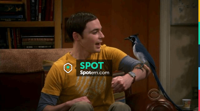 The yellow t-shirt of Sheldon Cooper in The Big Bang Theory S05E09 ...