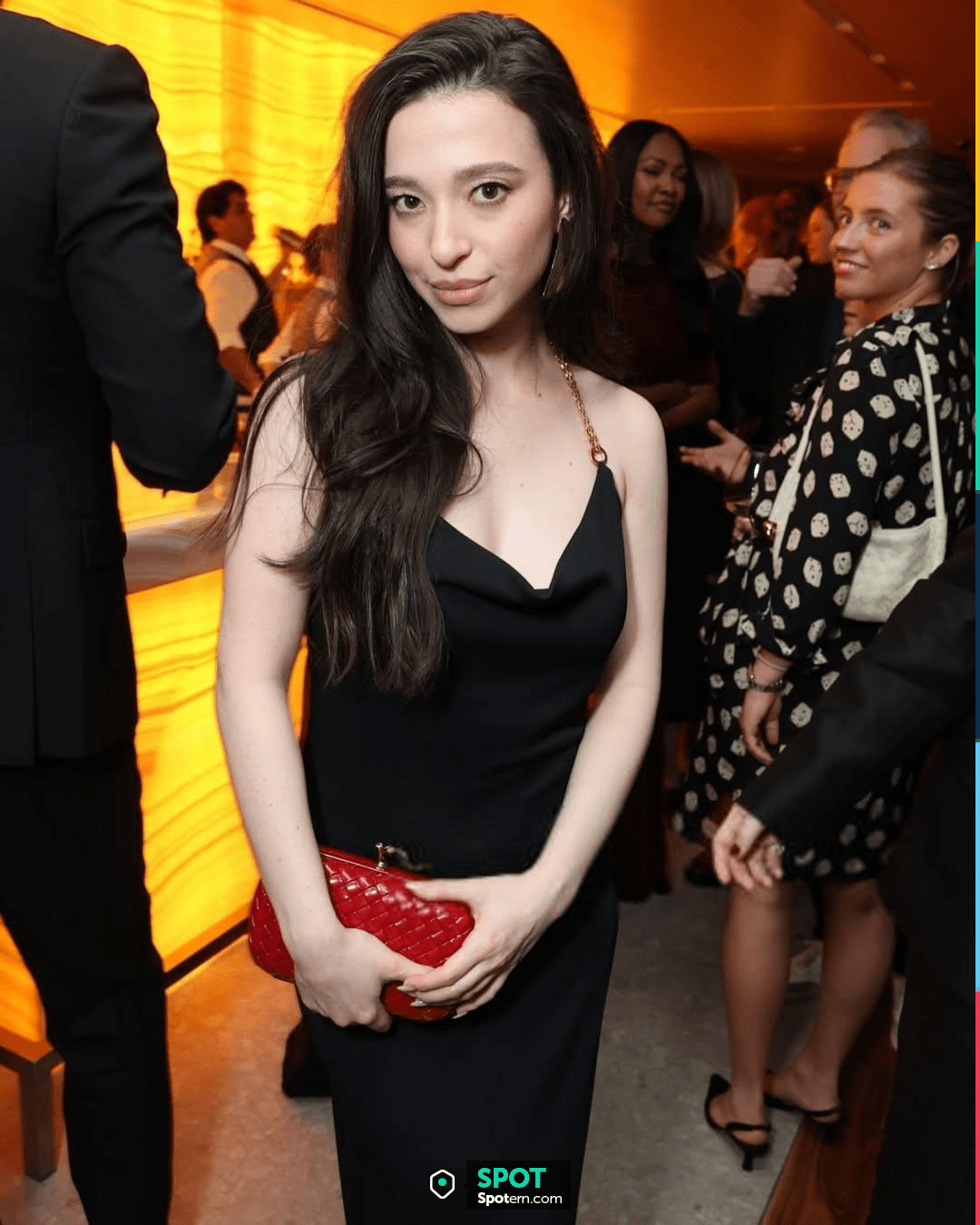 Bottega Veneta Viscose Long Dress with Chain Detail worn by Mikey ...