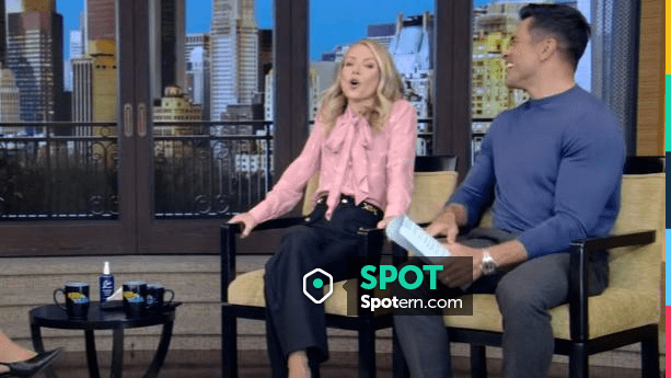 Celine Pants with Gourmettes worn by Kelly Ripa as seen in LIVE with ...