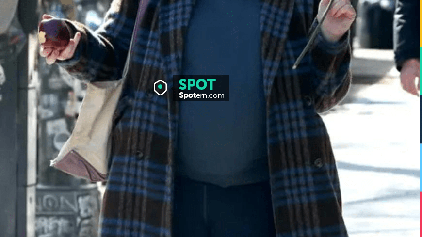 Plaid Coat worn by Lainy Newton (Amy Schumer) as seen in Kinda Pregnant ...