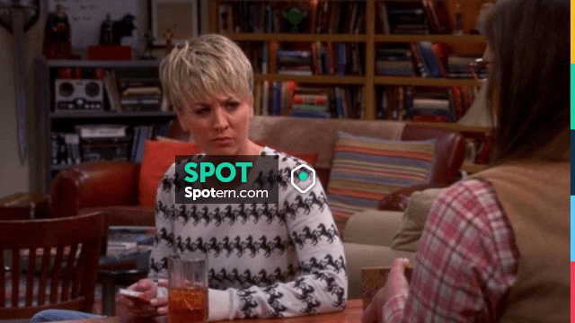 The sweater pattern horse Penny (Kaley Cuoco) in The big bang theory ...