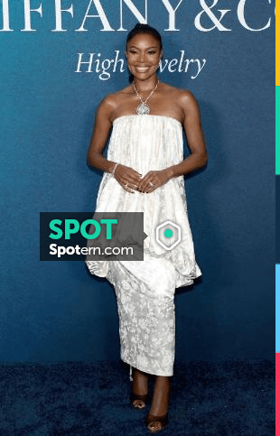 Danielle Frankel Rumi Gown worn by Gabrielle Union at Sea of Wonder post on April 25, 2025 | Spotern