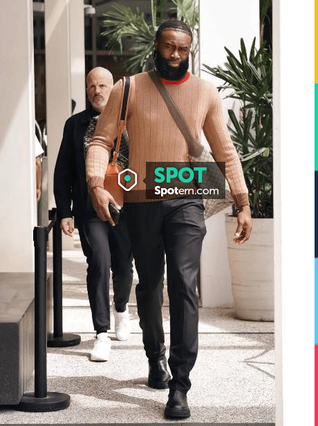 Goyard Black & Brown Cisalpin Backpack worn by Jaylen Brown on the ...