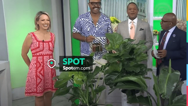 Maeve at Anthropologie Emma Dress worn by Dylan Dreyer as seen in Today ...