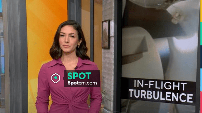 Cinq a Sept McKenna Dress worn by Ali Bauman as seen in CBS Mornings on ...