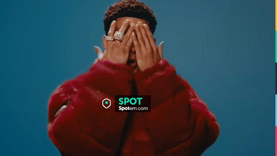 Supreme x The North Face Red Fur Nuptse Down Jacket worn by J.I the ...