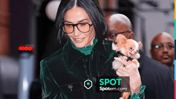 Demi Moore NYC Green Velvet Jacket in Demi Moore seen with our dog ...