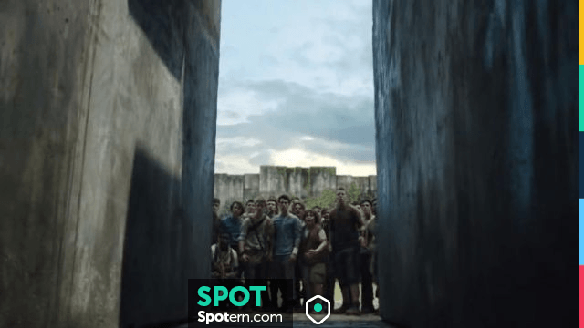 Sneakers beige high tops Chuck in The Maze Runner | Spotern