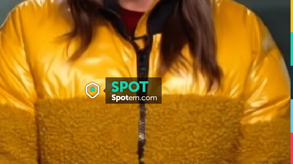 Yellow Puffer Jacket worn by Self - ABC News Chief Meteorologist ...