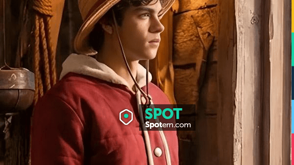Monkey D. Luffy One Piece S02 Red Hooded Jacket as seen in ONE PIECE ...