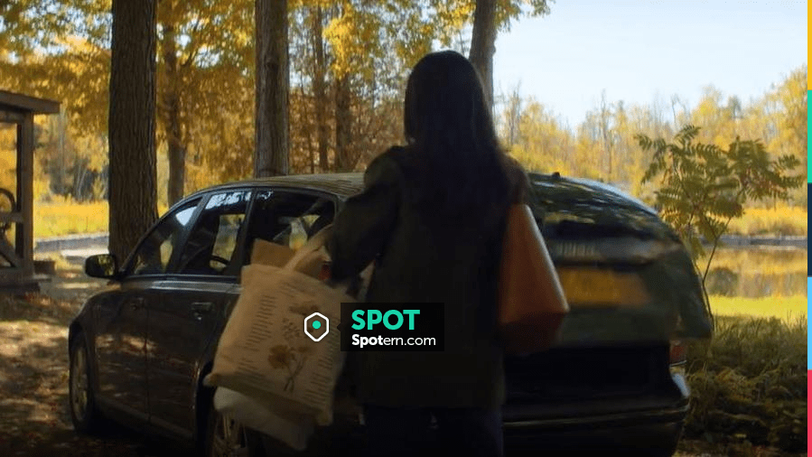 Broadream Aesthetic Canvas Tote Bag worn by M (Rachel Weisz) as seen in ...