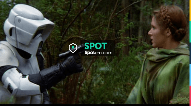 Scout Trooper Blaster En Star Wars Vi El Retorno Del Jedi Spotern