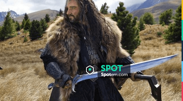 The belt loop of Thorin Écu-de-Chêne (Richard Armitage) in The Hobbit | Spotern